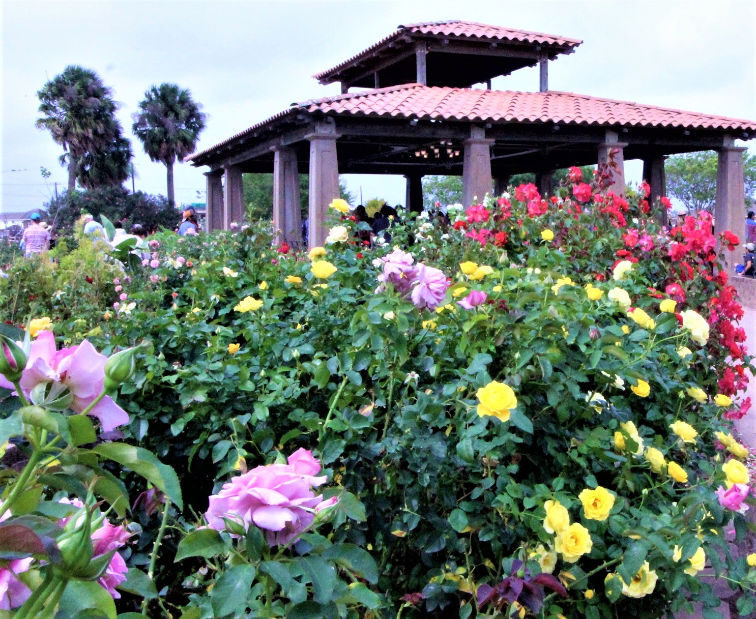 South Texas Botanical Gardens & Nature Center – American Horticultural ...
