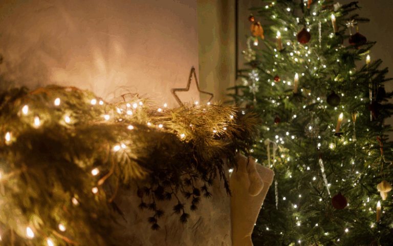 River Farm Holiday Open House - American Horticultural Society