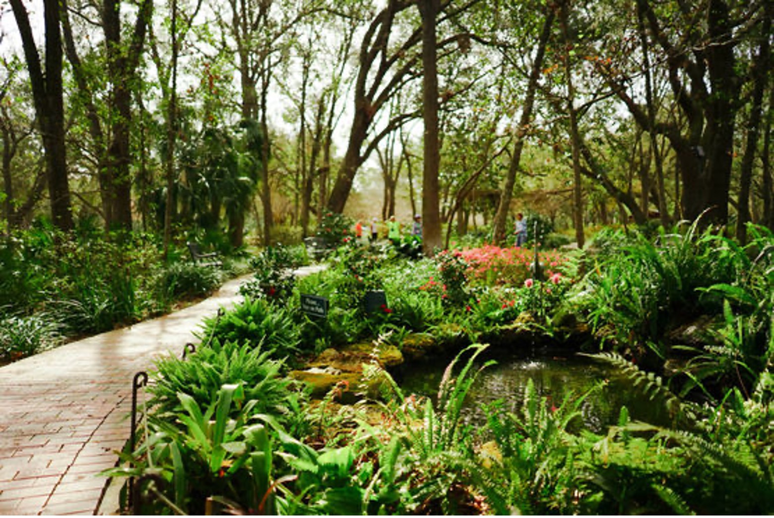 AHS LIVE: Behind-the-Scenes Tour: Winter Gardens in Winter Garden ...